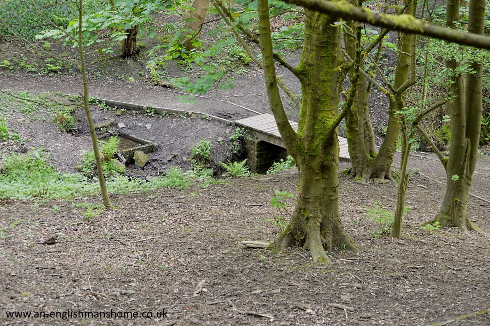 Shelf Park and Woods 2014