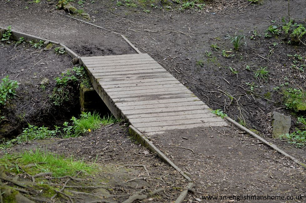 Shelf Park and Woods 2014