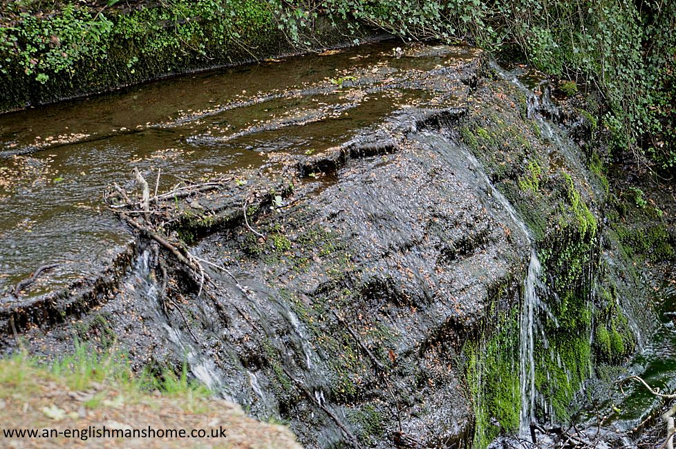 Shelf Park and Woods 2014