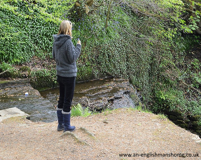 Shelf Park and Woods 2014