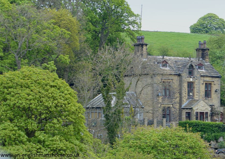 Shelf Park and Woods 2014