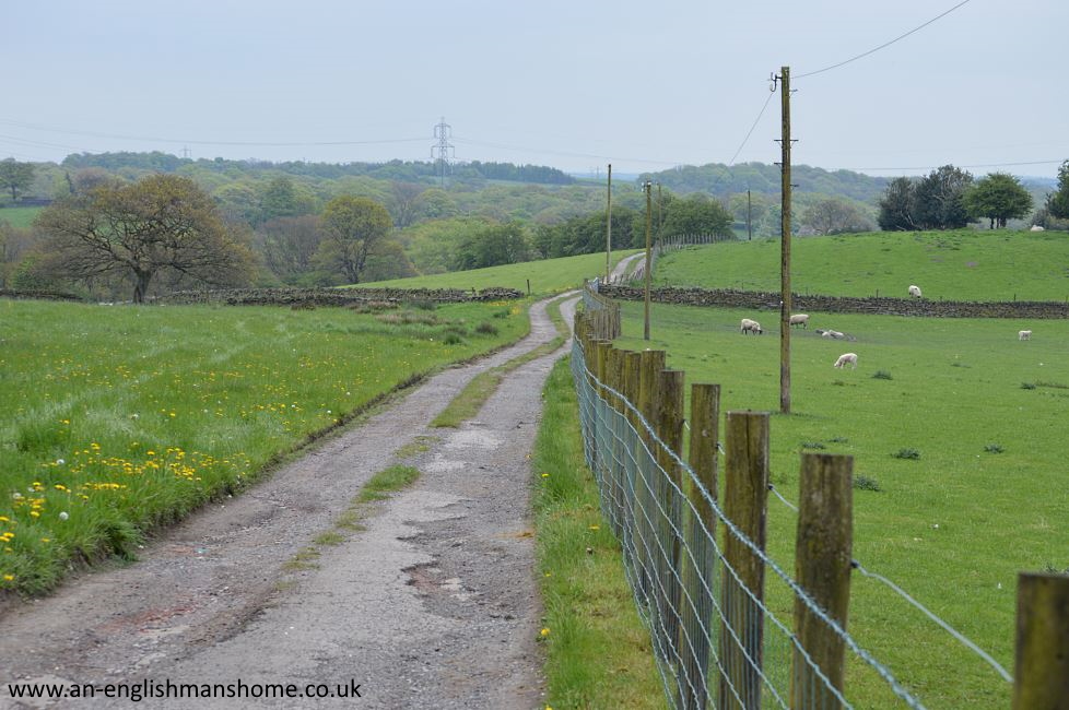 Shelf Park and Woods 2014