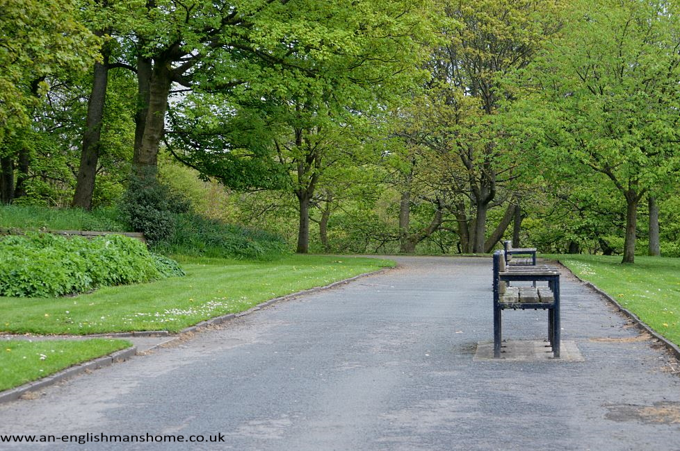 Shelf Park and Woods 2014