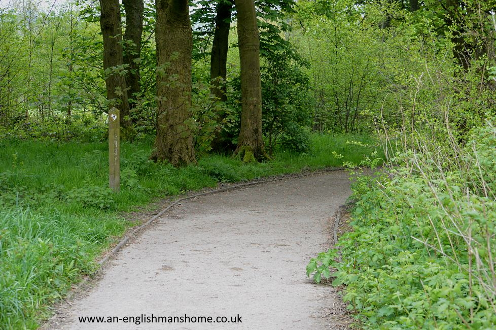 Shelf Park and Woods 2014