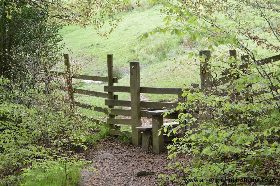 Shelf Park and Woods 2014